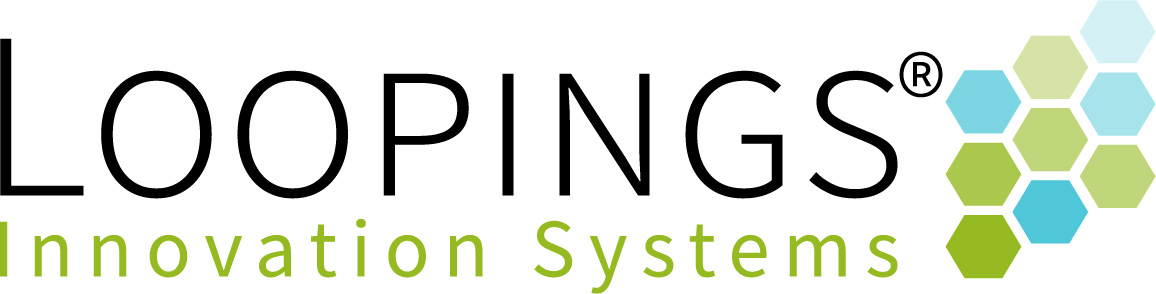 2. Calidat. Company – Calidat.